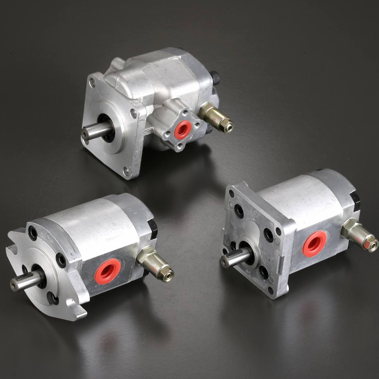 SHIN HONG PRECISION CO.,LTD.